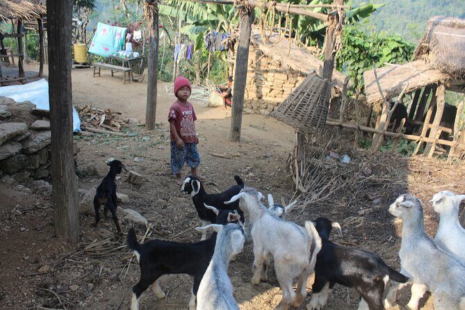 Bandipur to Ramkot full day with local guide full day - Who Should Consider This Tour?