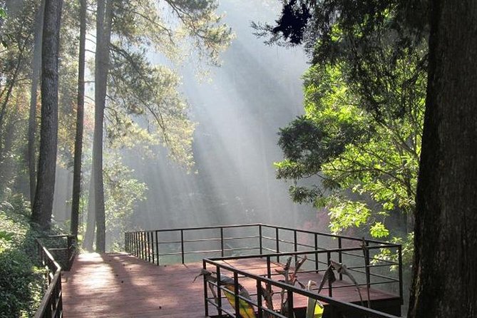 Bandung Private Tour Mountain Volcano and Hotspring ( Overland ) - Introduction