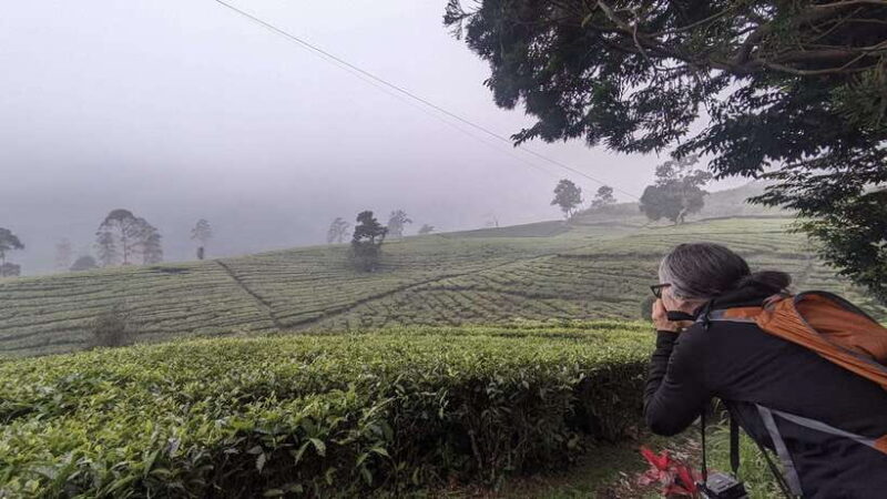Bandung: Tangkuban Parahu Volcano & Surrounding Areas Tour - Key Points