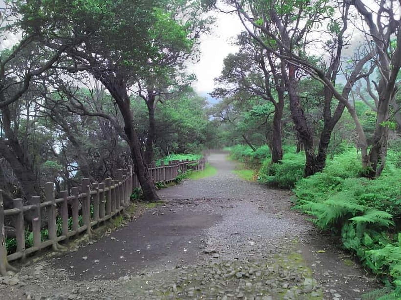 Bandung: Tangkuban Perahu Volcano Tours - Practical Details and Value