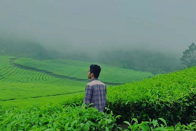 Bandung Tour Volcano, Hotsprings, Mud, Tea, Lunch all Included - FAQ