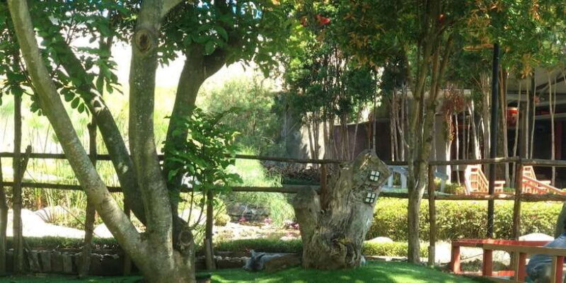 Bandung : Trip of Volcano Active Mountain Tour Guide - Who Should Consider This Tour?