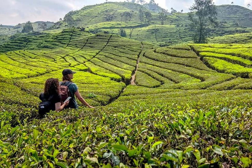 Bandung: White Crater, Scenic Tea Plantations & Hot Spring - Introduction: A Natural Escape with a Personal Touch