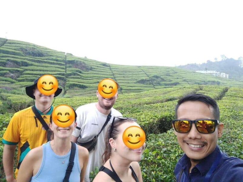 Bandung: White Crater Volcano Guided Day Trip - Key Points