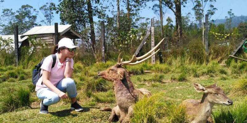 Bandung:Kawah Putih,Volcano,HotSpring,Mud Bathing,Lake Tour - The Sum Up