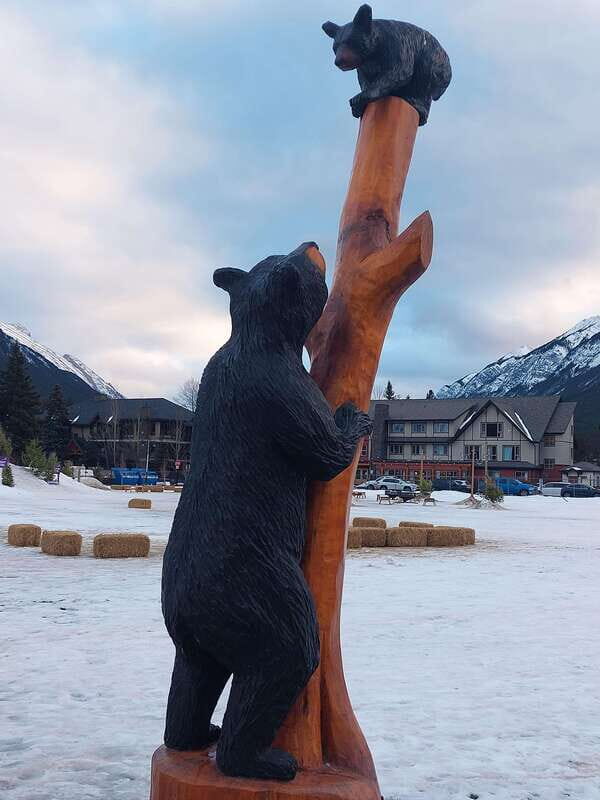 Banff: A Private Day Trip - Highlights Tour - Who Is This Tour Best For?