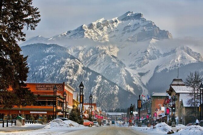 Banff Area & Johnston Canyon 1-Day Tour from Calgary or Banff - In-Depth Breakdown: What to Expect on the Tour