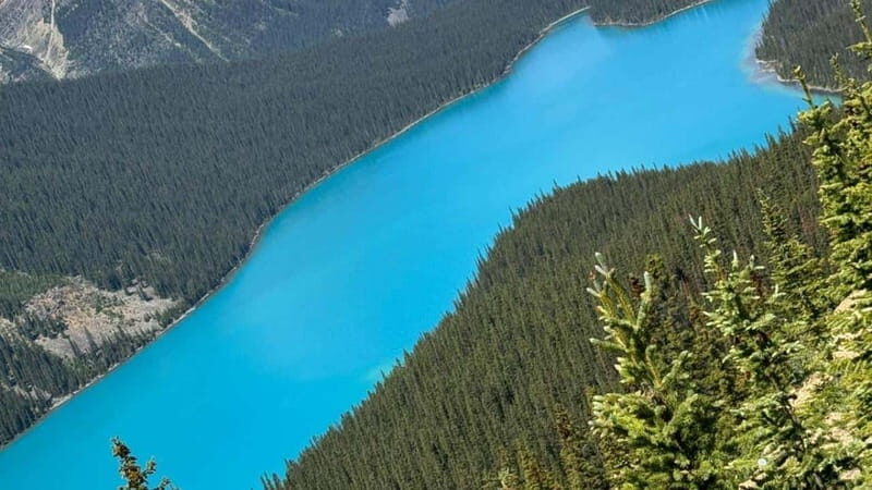 Banff/Calgary/Canmore: Crowfoot Glacier and 5 Lakes Tour - Final Thoughts: Is It Worth It?