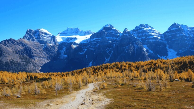 Banff/Canmore: Larch Valley & Moraine Lake - An In-Depth Look at the Tour