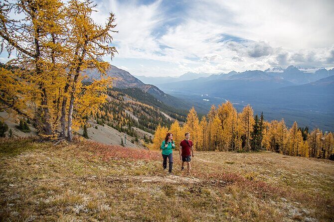 Banff Canmore Private Adventure Moraine Lake and Lake Louise Tour - Why This Tour Offers Great Value