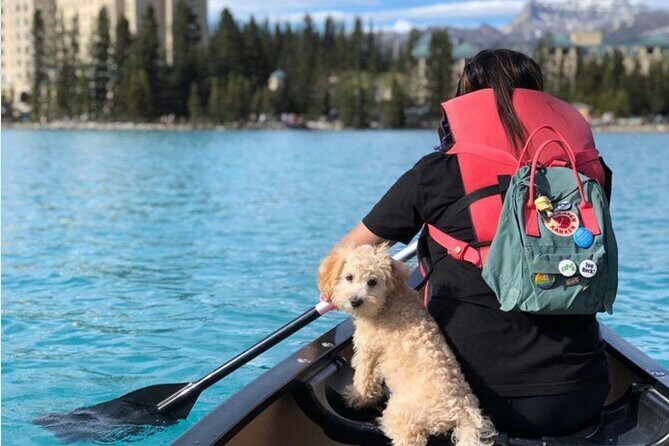 Banff Day Trip in Lake Louise Natural Bridge and Takakkaw Falls - Key Points