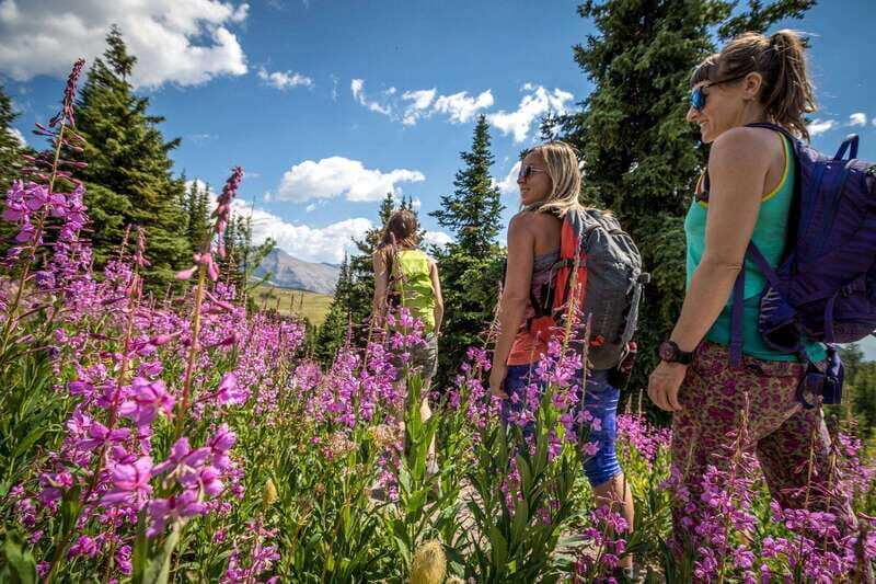 Banff: Edible and Medicinal Plants Nature Walk - Key Points