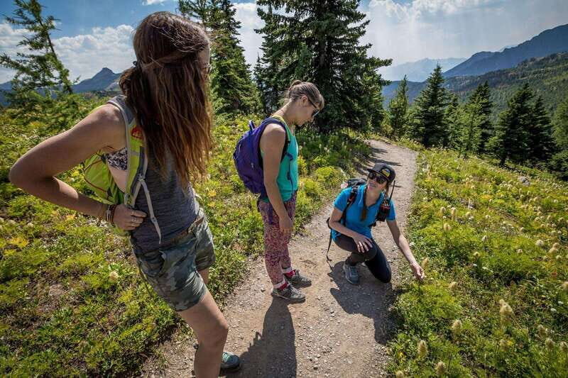 Banff: Edible and Medicinal Plants Nature Walk - What is the Edible and Medicinal Plants Nature Walk?