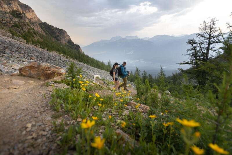 Banff: Edible and Medicinal Plants Nature Walk - Practical Details and Tips