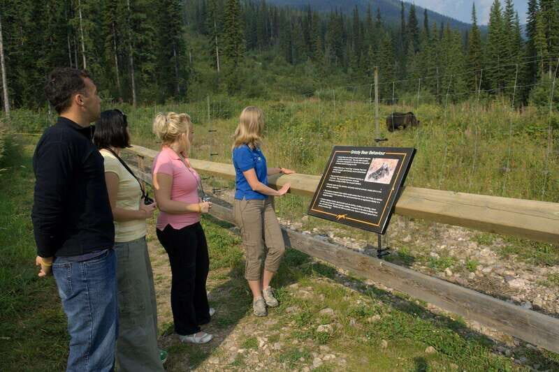 Banff: Edible and Medicinal Plants Nature Walk - The Sum Up: Is It Worth It?