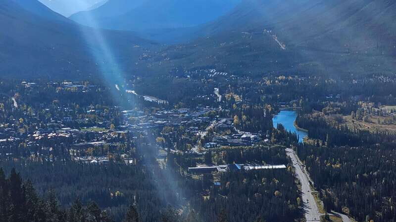 Banff: Evening Wildlife Safari Guided Tour - The Sum Up