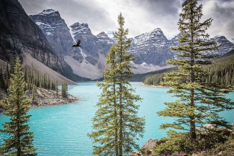 Banff: Experience Moraine, Louise & Peyto Lakes (2 Days) - Key Points