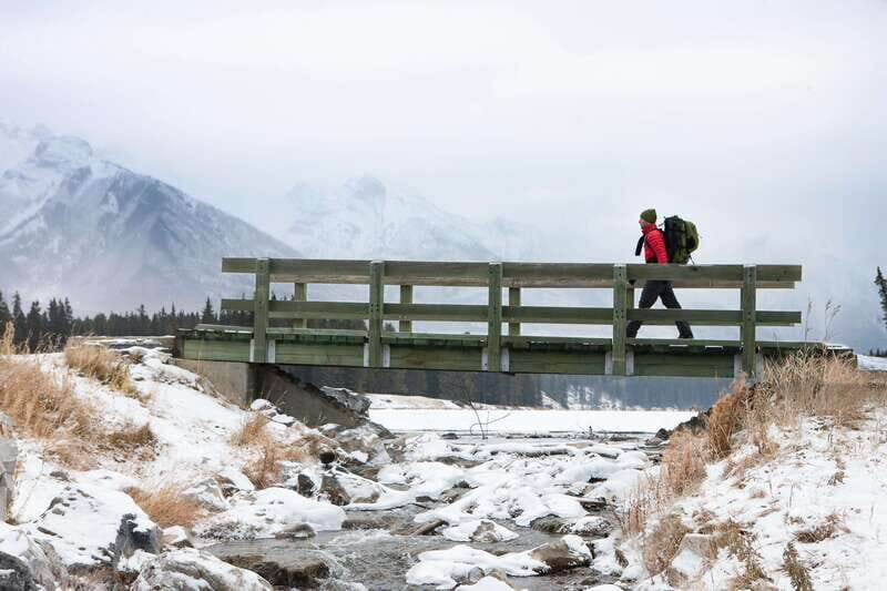 Banff: Explore Winter Nature Walk - Ice Cleats Included 2H - Discovering Banff’s Winter Wonderland