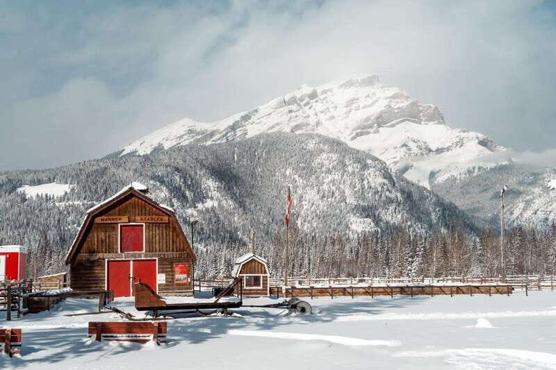 Banff: Family Friendly Horse-Drawn Sleigh Ride - A Cozy Journey Through Banff’s Winter Landscape