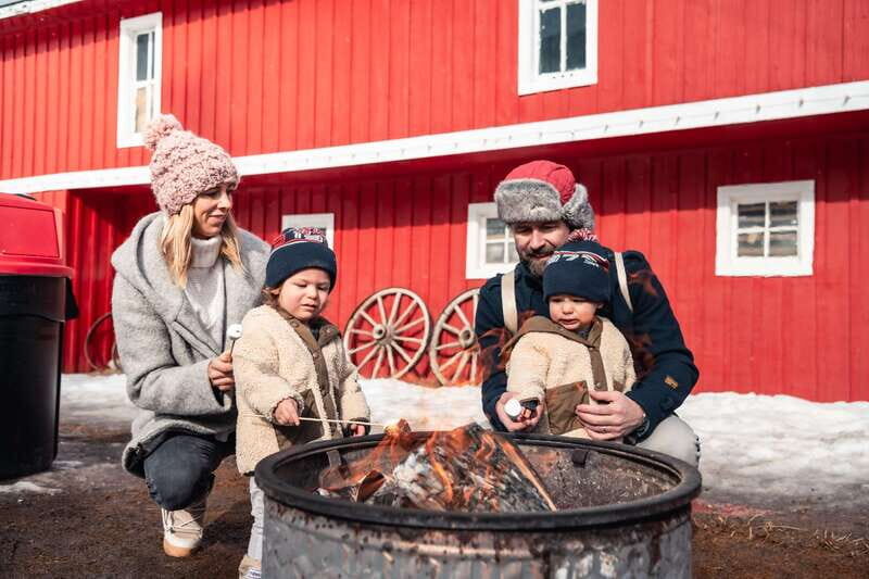 Banff: Family Friendly Horse-Drawn Sleigh Ride - Practicalities and Tips