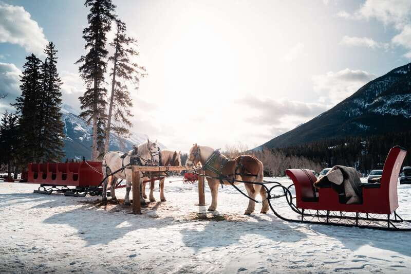 Banff: Family Friendly Horse-Drawn Sleigh Ride - Who Will Love This Tour?