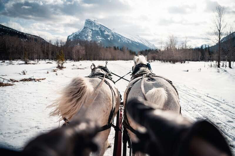Banff: Family Friendly Horse-Drawn Sleigh Ride - Final thoughts