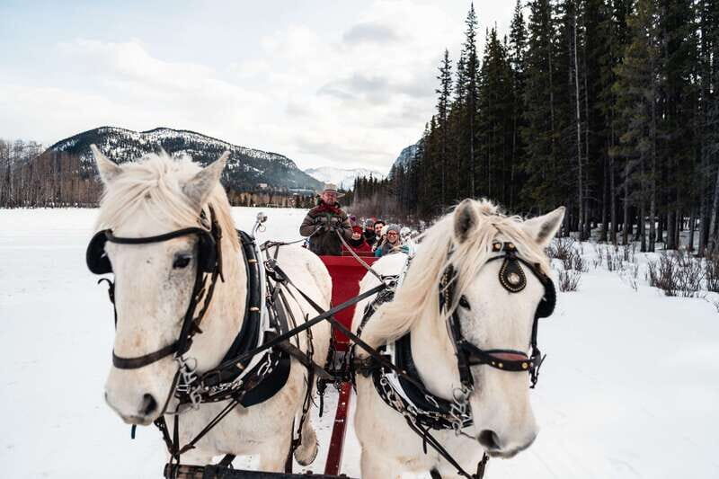 Banff: Family Friendly Horse-Drawn Sleigh Ride - FAQ