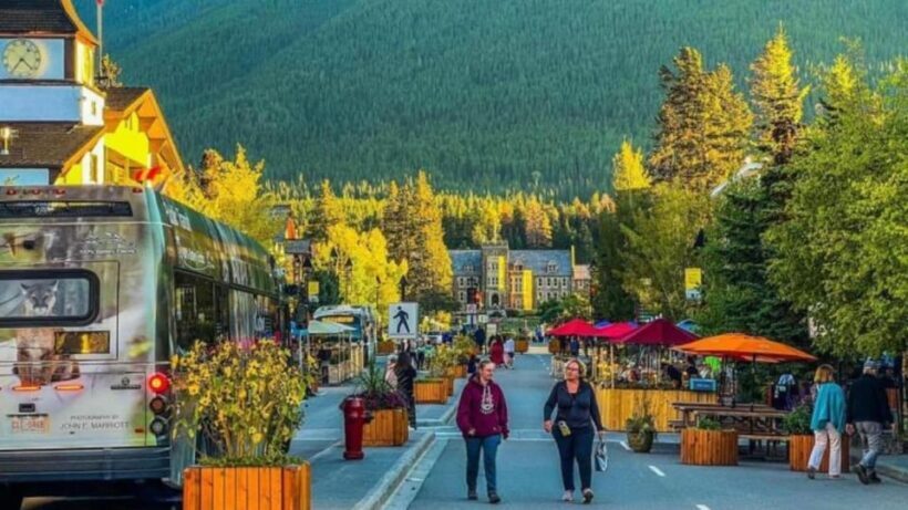 Banff Gondola, Lake Louise, Emerald, Minnewanka & Banff Town - Final Thoughts: Who Is This Tour For?