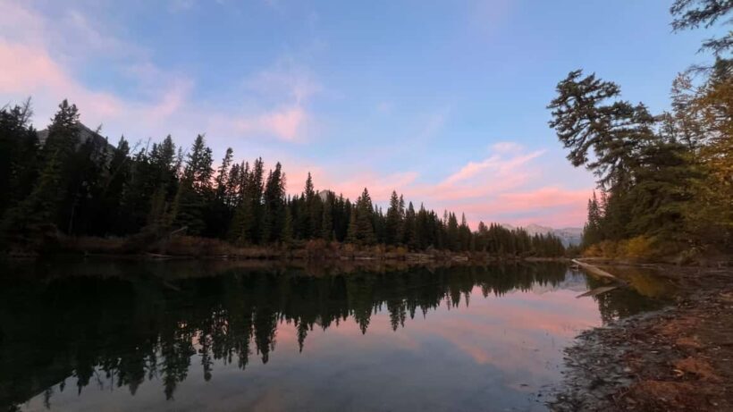 Banff: Grizzly Bear & Nature Walk & Hidden Gem Sunset Tour - The Itinerary Breakdown