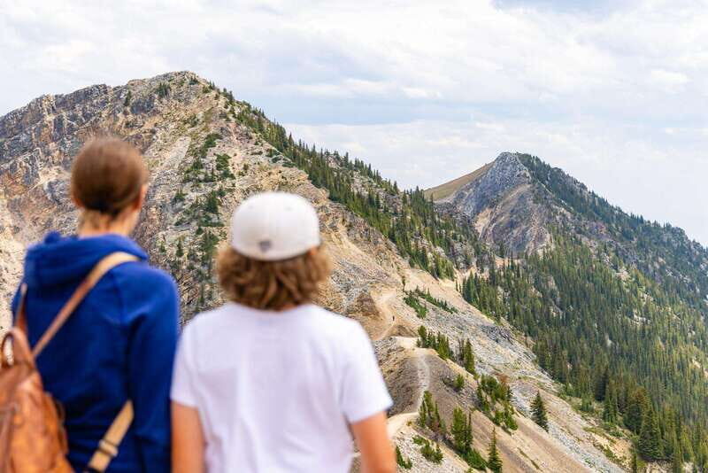 Banff: Grizzly Bear Refuge Tour with Lunch - The Journey Back