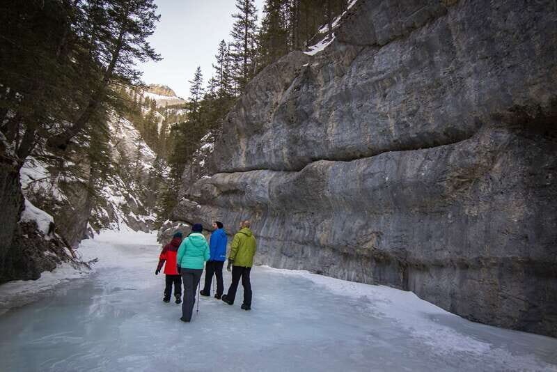 Banff: Grotto Canyon Icewalk - Who Should Consider This Tour?