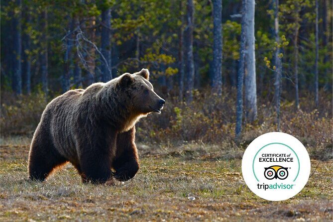 Banff Highlights & Wildlife | Award-Winning Small Group Adventure - An In-Depth Look at the Banff Highlights & Wildlife Tour