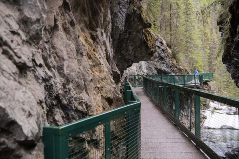 Banff, Lake Louise, Johnston Canyon, Vermilion Lake Day Trip - An Overview of the Tour