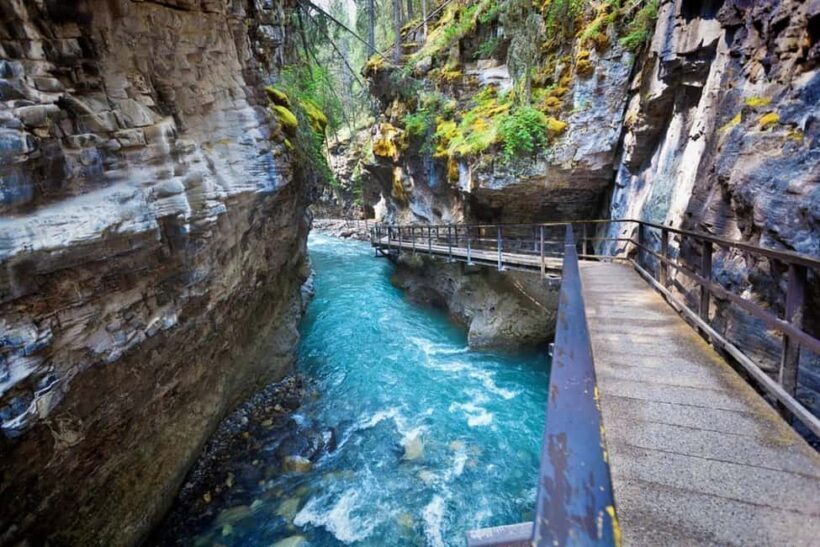 Banff : Lake Louise, Moraine, Emerald & Johnston Canyon tour - Practical Considerations and Tips
