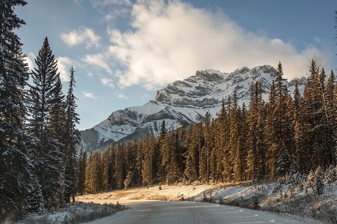 Banff Lake Louise Moraine & Emerald Lake Tour - Who Should Take This Tour?