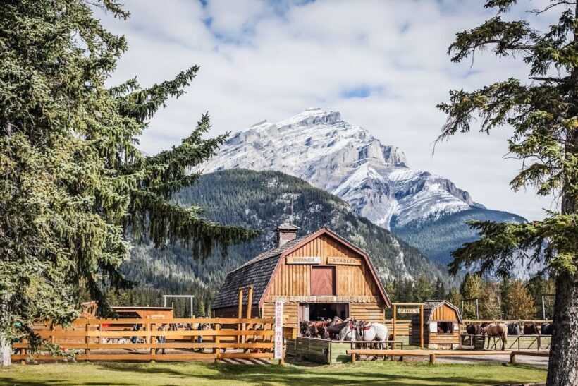 Banff National Park: 1-Hour Bow River Horseback Ride - The Itinerary and Experience Breakdown