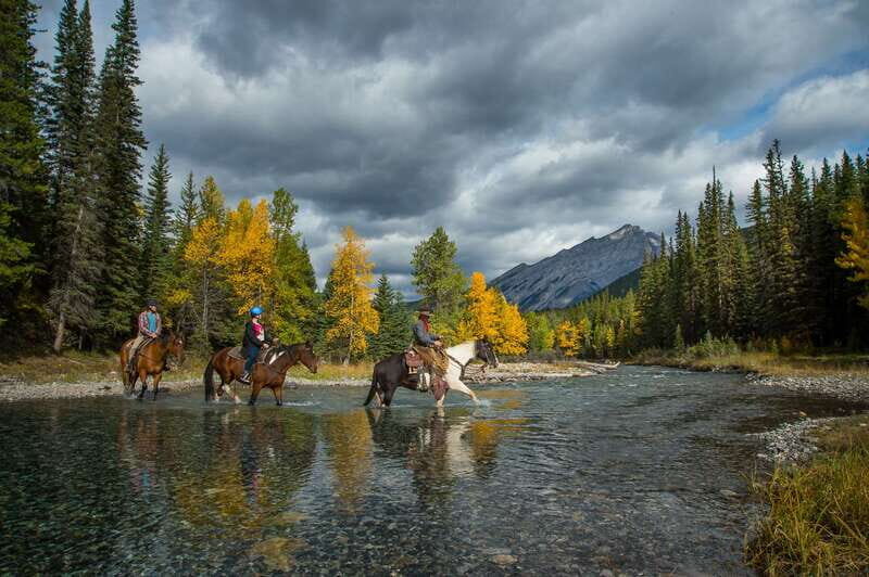 Banff National Park: 1-Hour Spray River Horseback Ride - Final Thoughts: Who Should Consider This Tour?