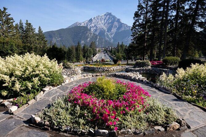 Banff National Park Group Bus Tour Experience - What Travelers Say and Why It Matters