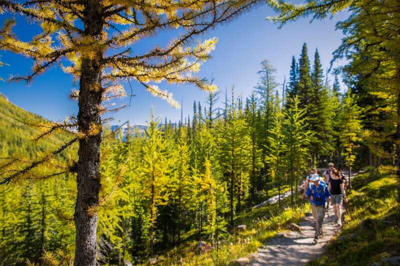 Banff National Park: Guided Signature Hikes with Lunch - The Sum Up
