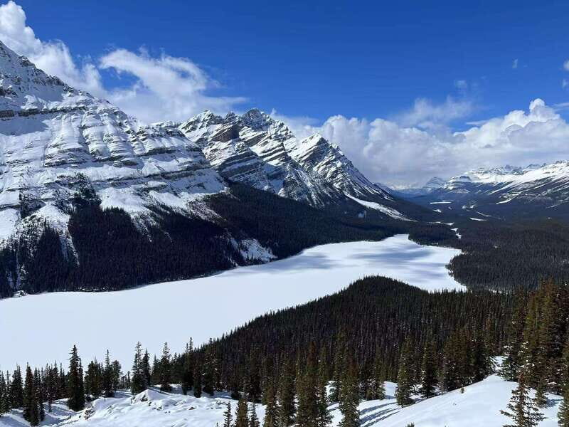 Banff National Park: Lake Louise & Upper Hot Springs Tour - Final Thoughts on Value and Experience
