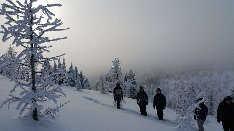 Banff National Park: Sunshine Meadows Snowshoeing Experience - Banff National Park: Sunshine Meadows Snowshoeing Experience — A Detailed Review