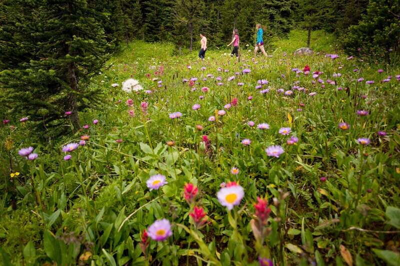 Banff PRIVATE Guided Nature Walk + Transportation - 2.5H - The Sum Up: Who Should Consider This Tour?