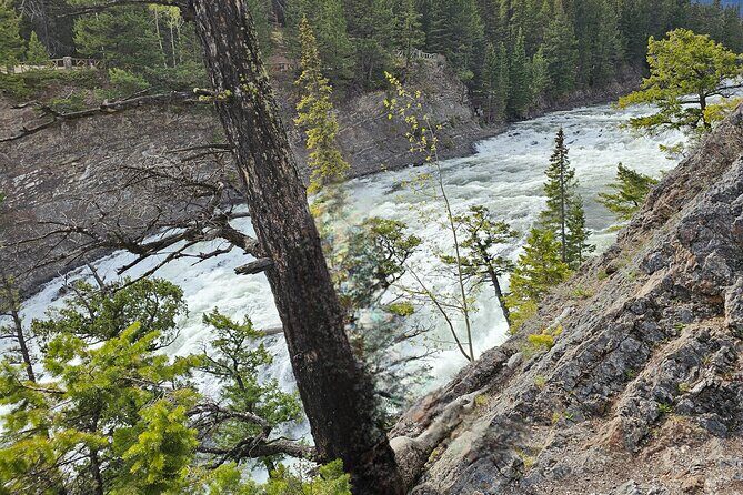 Banff Sightseeing Tour - Who Should Consider This Tour?