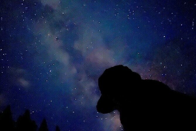 Banff Sunset and Stargazing Tour - 2hr Walking Tour - Safety and Comfort