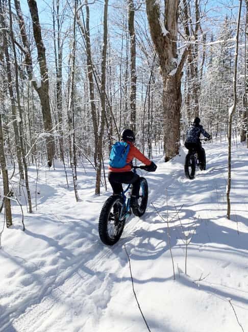 Banff Top Sights E-Fat Bike Tour  All Skill Levels - An In-Depth Look at the Banff E-Fat Bike Tour