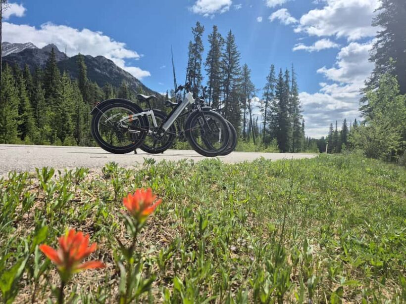 Banff Top Sights E-Fat Bike Tour  All Skill Levels - Final Thoughts