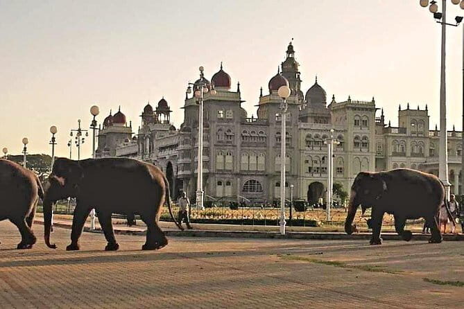 Bangalore City Tour Full-Day Private - The Sum Up: Who Benefits Most from This Tour?