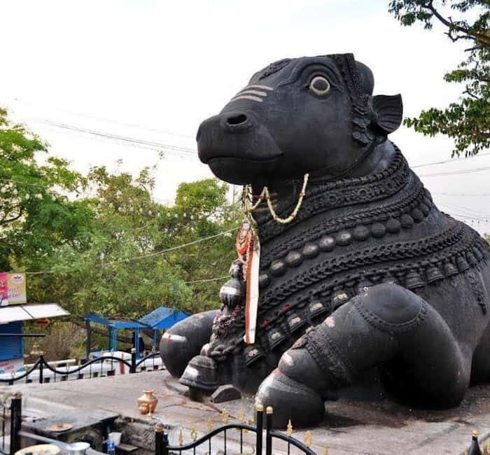 Bangalore: Full-Day Guided City Tour w/ Pickup - What to Expect on a Bangalore Full-Day Guided Tour