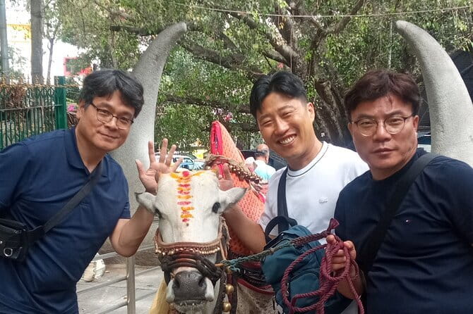 Bangalore Guided full day Tour with Lunch CULTURE/HISTORY/TEMPLES - Who Will Love This Tour?