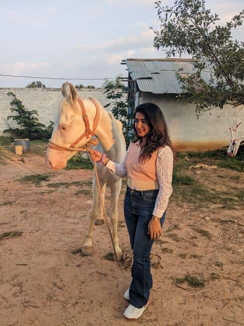 Bangalore: Horse Riding Safari Tour - Key Points